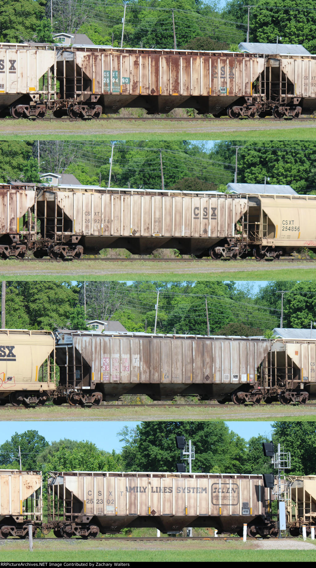 CSX hoppers